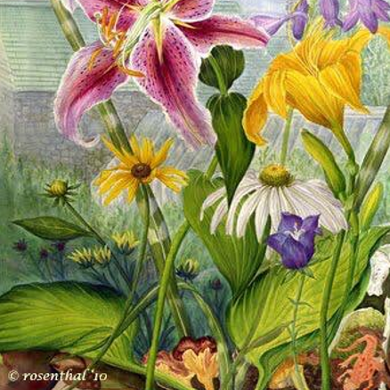 Botanical Watercolor Painting with Roberta Rosenthal | Wallkill Valley ...