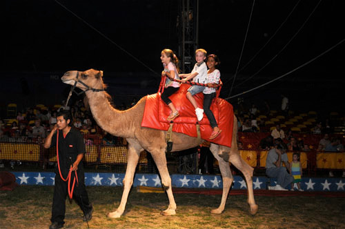 Ringmaster for a day | Herald Community Newspapers | www.liherald.com