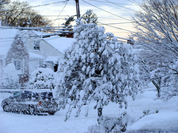 A thunderous snowstorm | Herald Community Newspapers | www.liherald.com