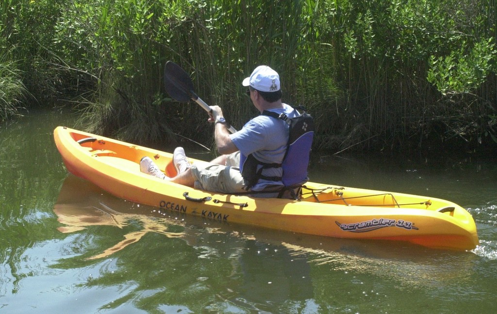 Herald staffers kayak the Meadow Brook | Herald Community Newspapers ...
