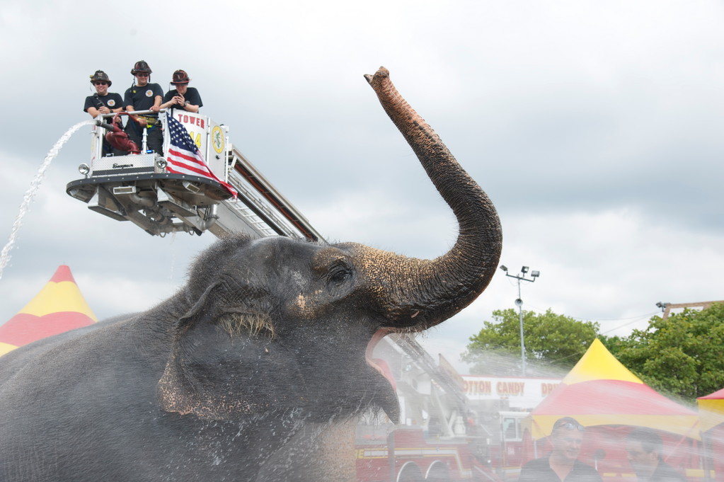 The circus is back in town | Herald Community Newspapers | www.liherald.com