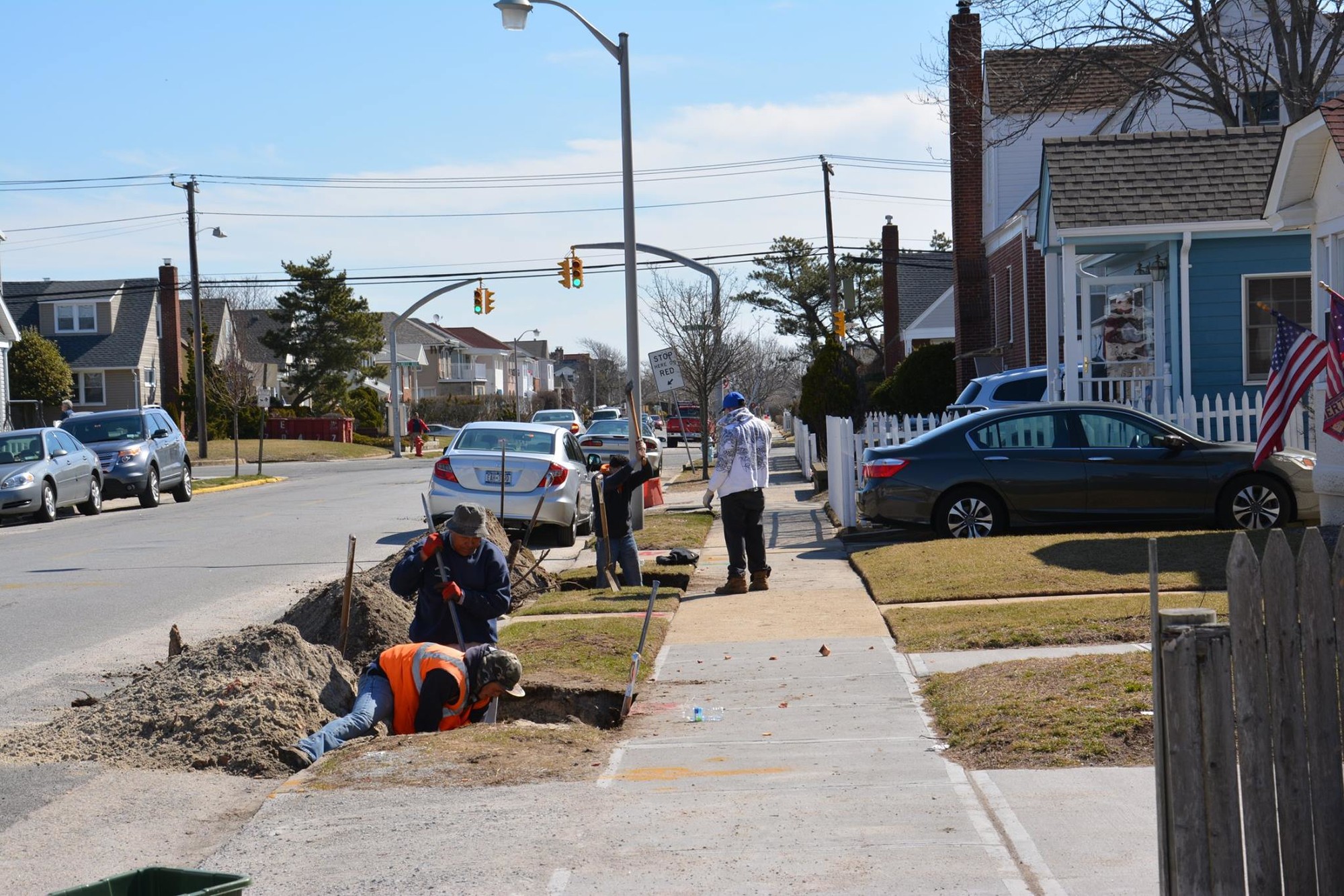 City hires contractor to replace Sandy-damaged trees | Herald Community ...