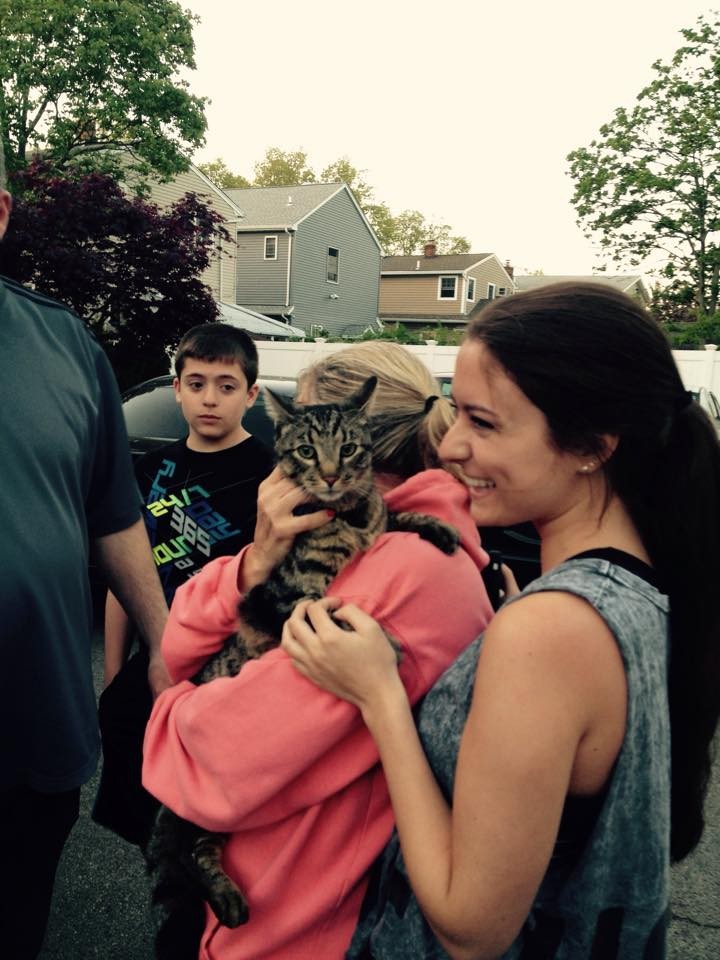 Roscoe The Remarkable Cat | Herald Community Newspapers | www.liherald.com