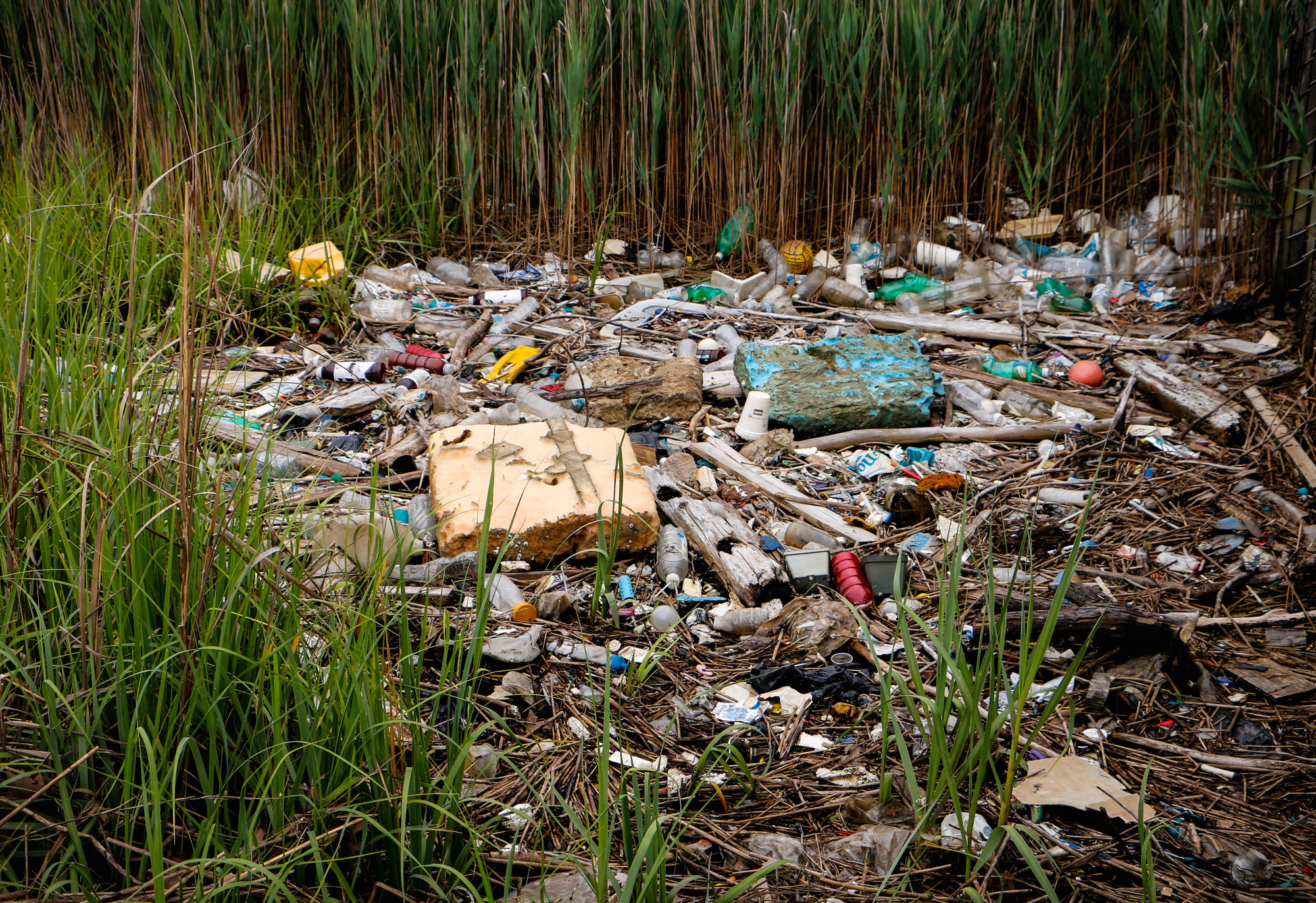 Cleanup needed at North Woodmere Park | Herald Community Newspapers ...