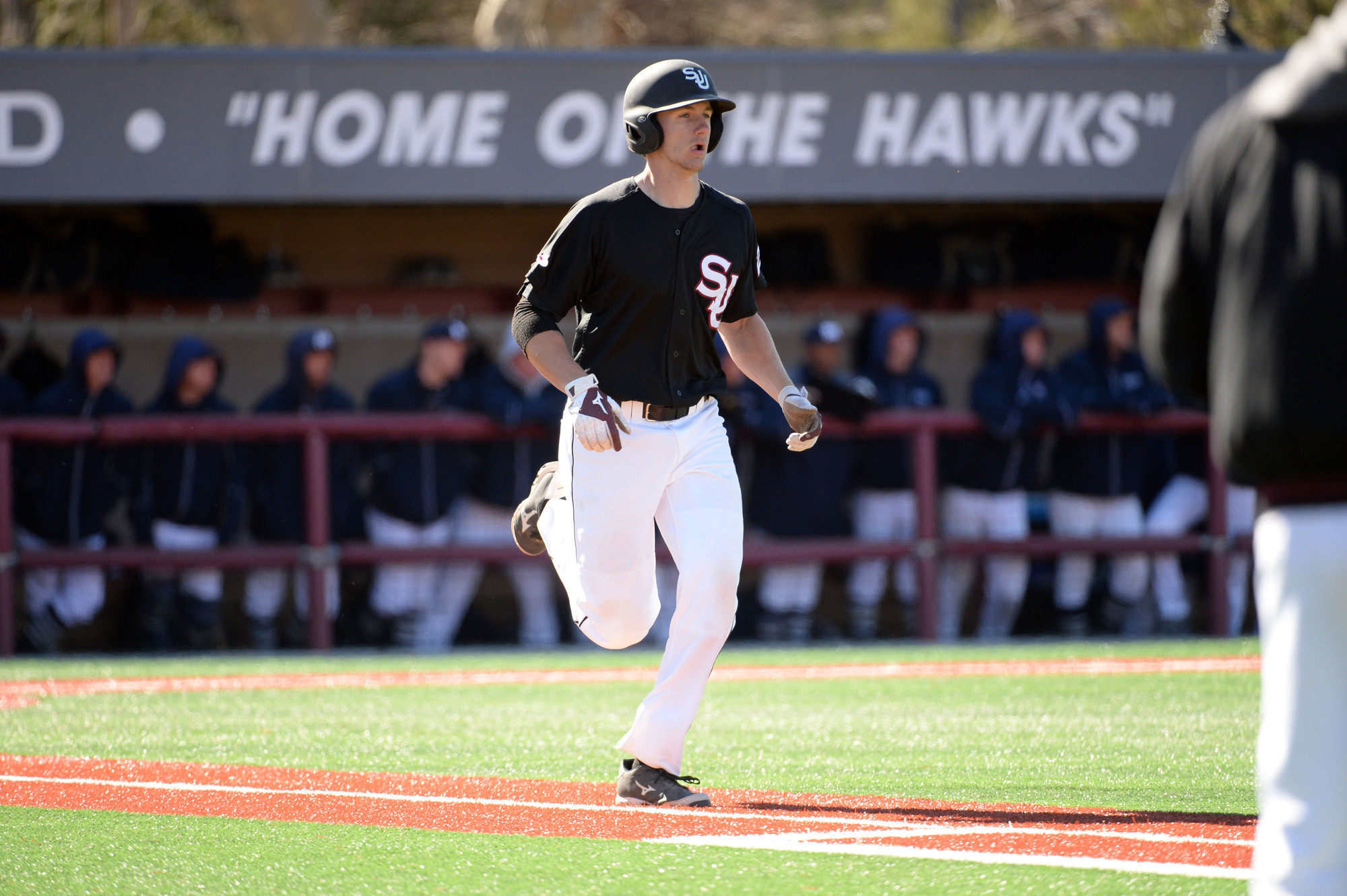 Saint Joseph’s Hawk from O’side earns honor | Herald Community ...