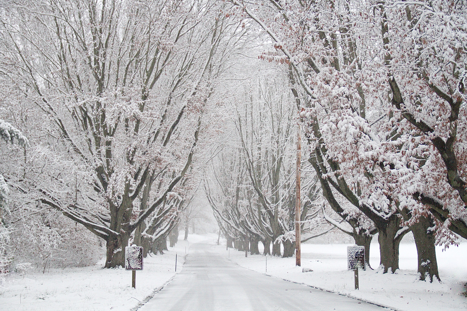 A picturesque first snow in Oyster Bay | Herald Community Newspapers ...