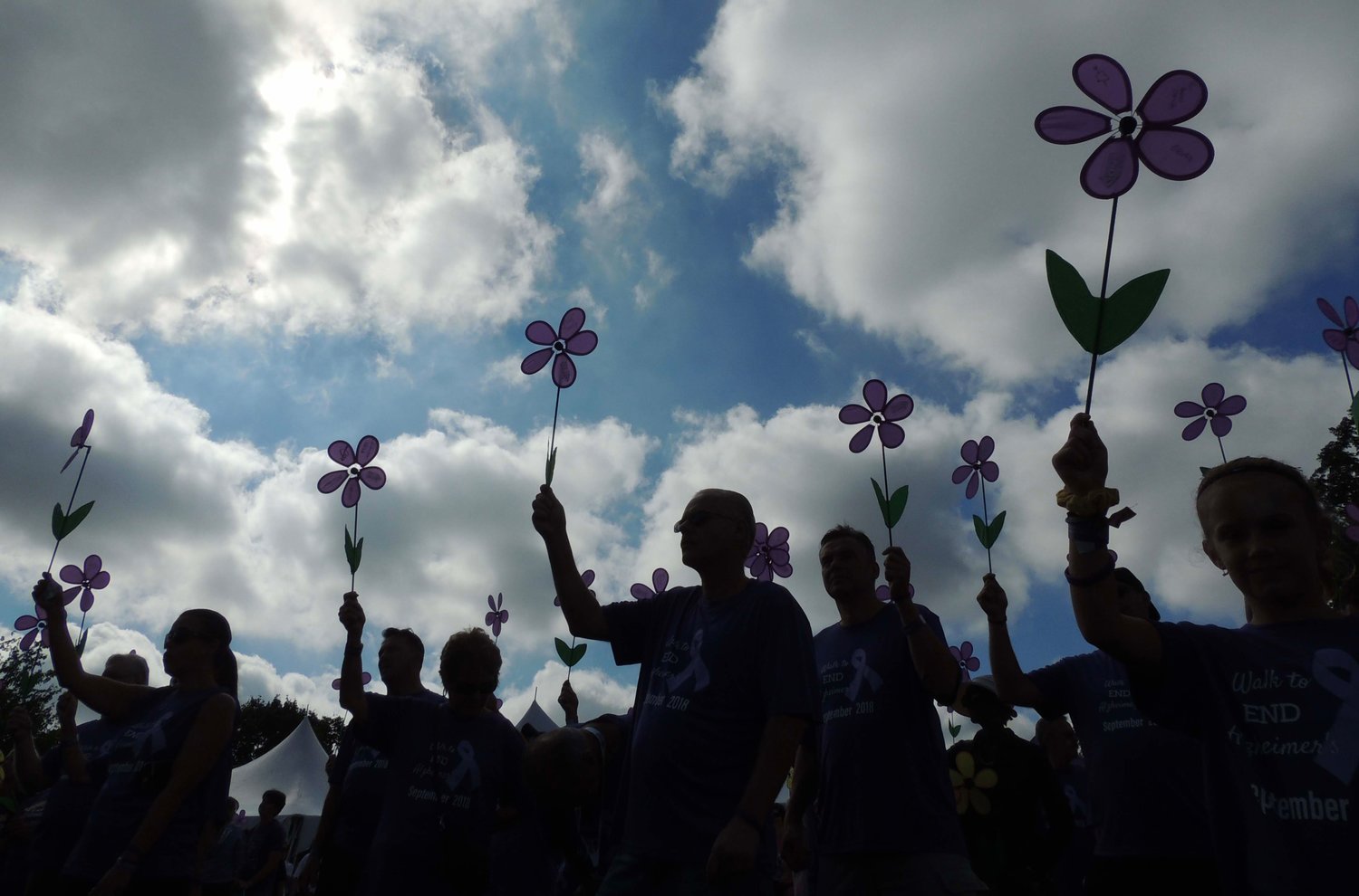 A field of purple flowers: Nearly a thousand turn out for Walk to End ...