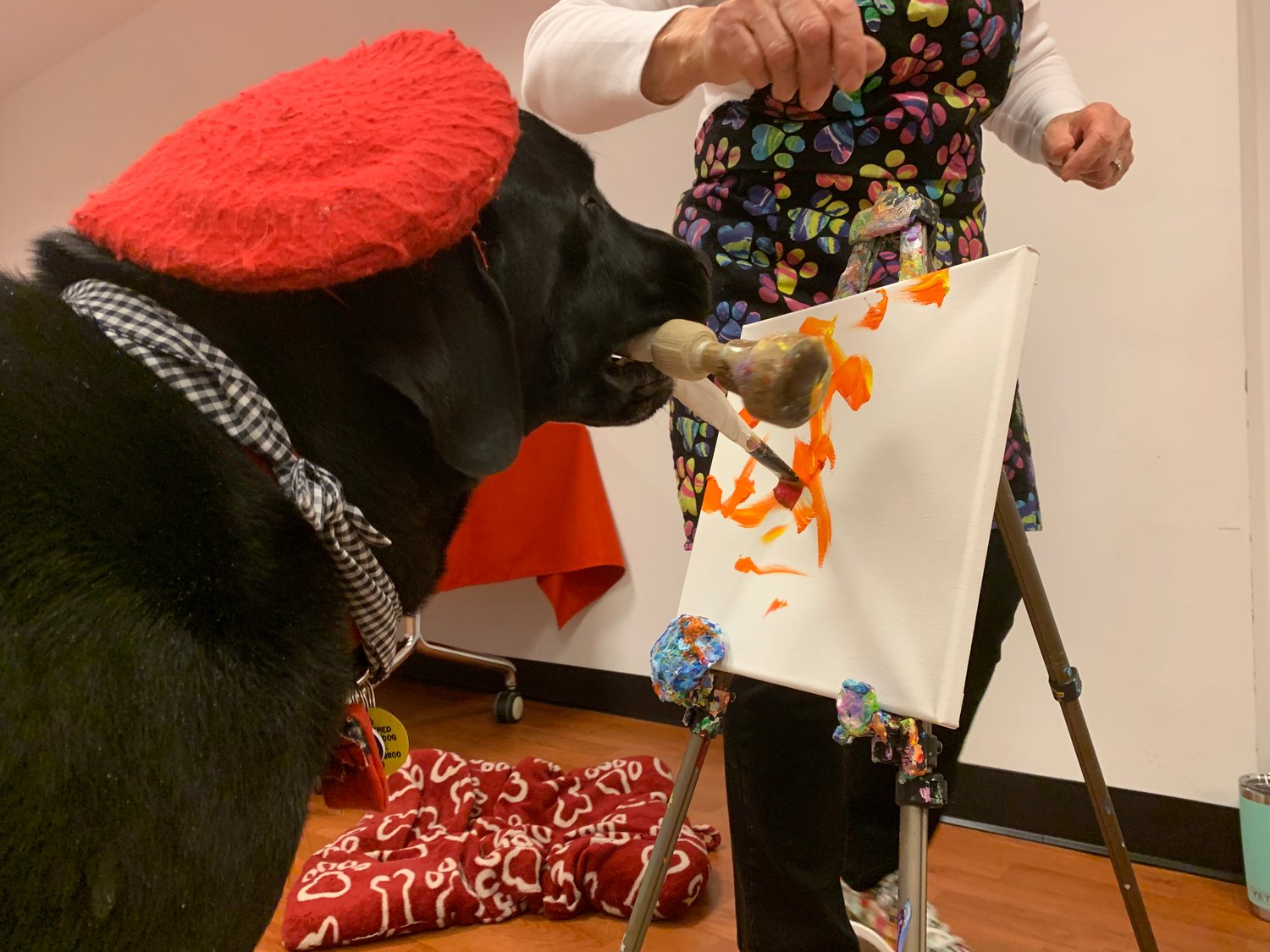 Dagger DogVinci brings smiles to the West Hempstead Public Library ...