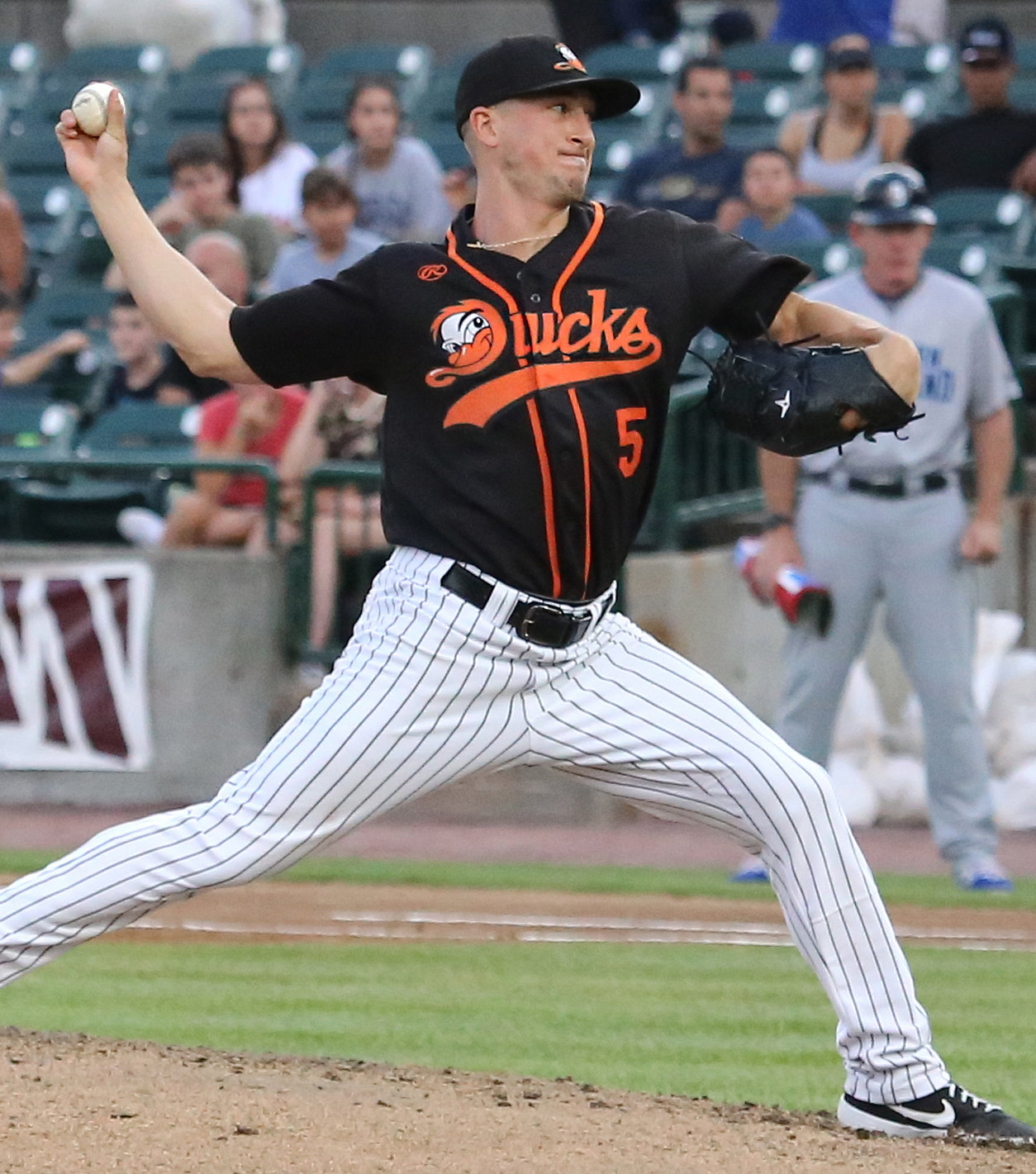 L.I. Ducks thrive amid roster turnover | Herald Community Newspapers ...