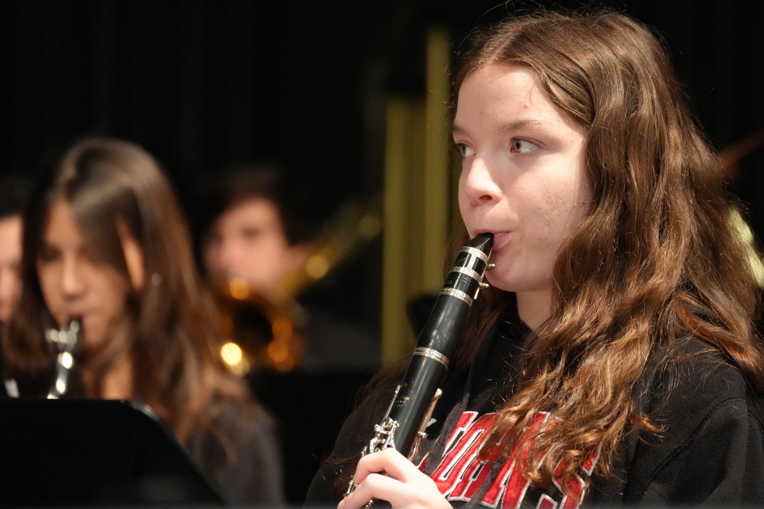 Things to do: Want to take a 'Walk in the Park’ with Mepham High School ...