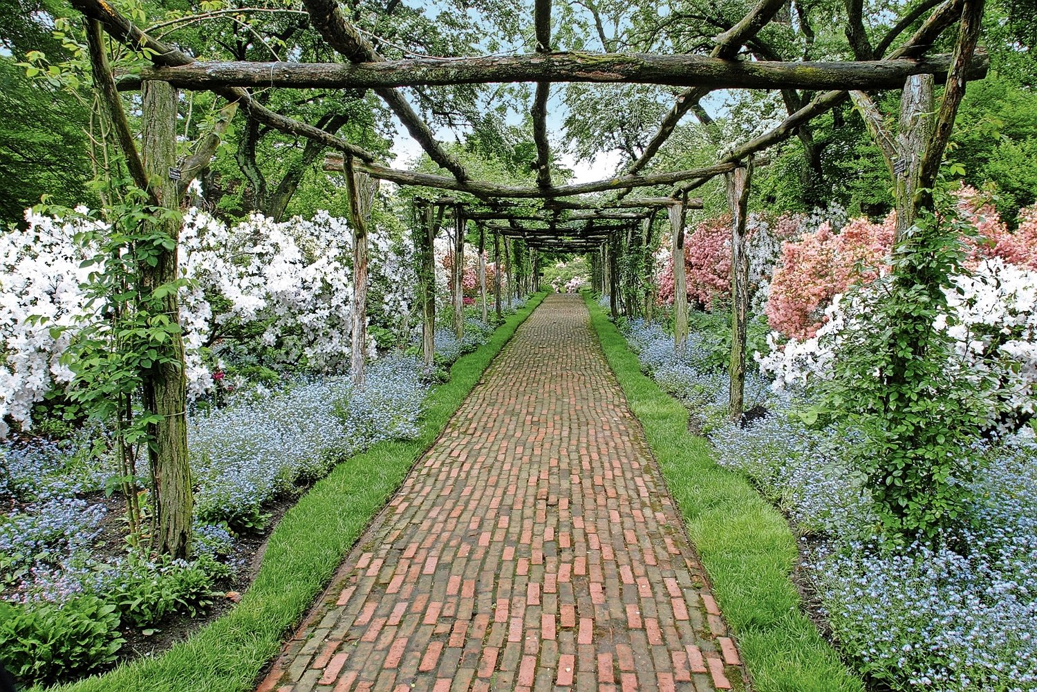 Spring, glorious spring | Herald Community Newspapers | www.liherald.com