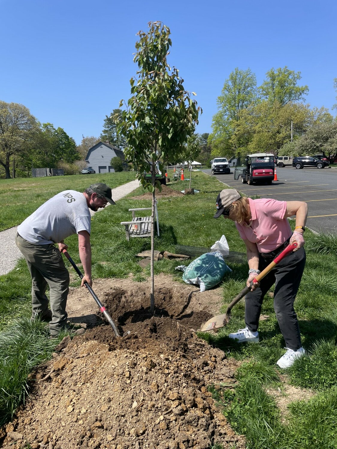 New cherry trees arrive at Sagamore Hill | Herald Community Newspapers ...