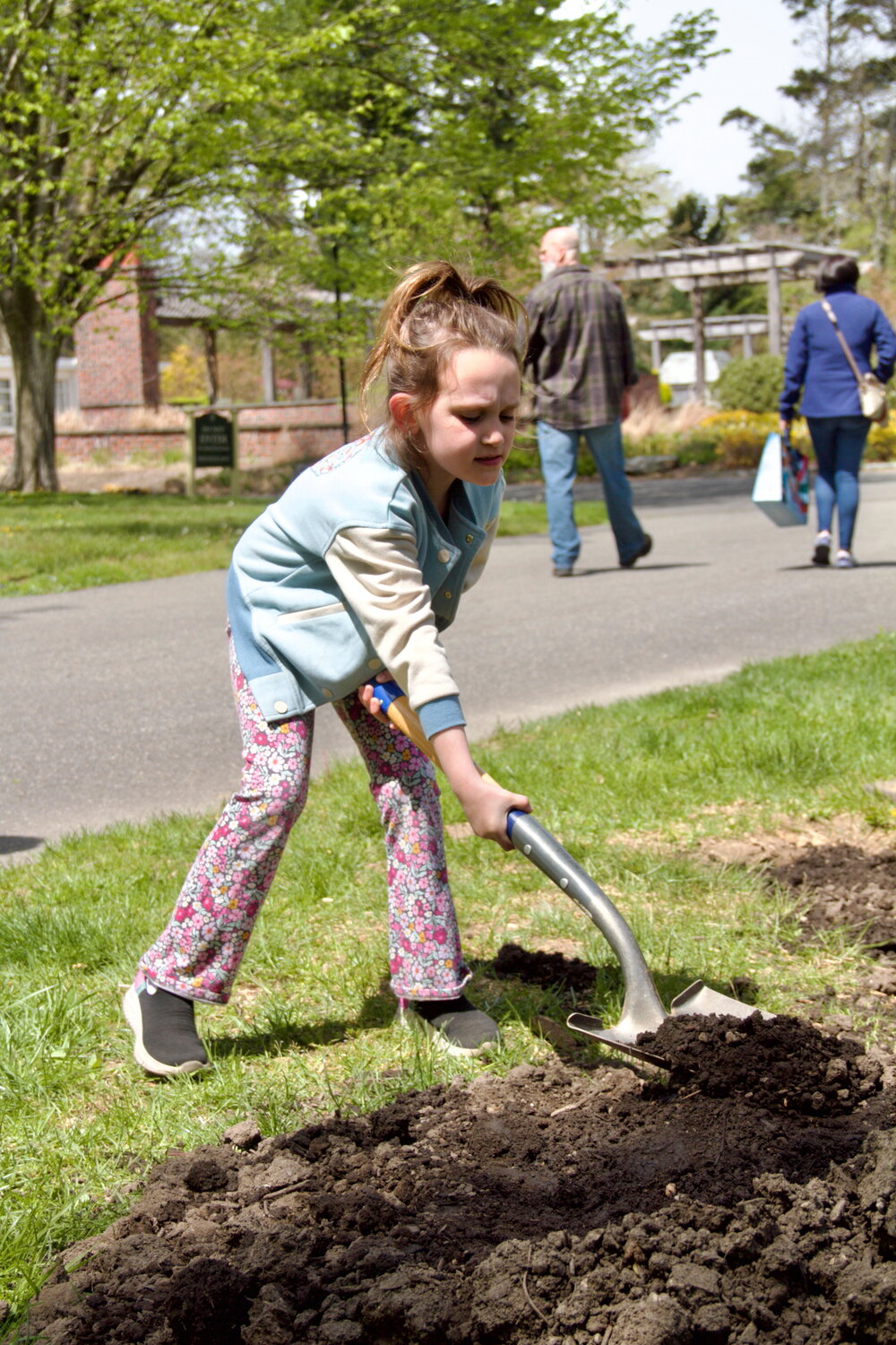 A joyous celebration of everything trees | Herald Community Newspapers ...